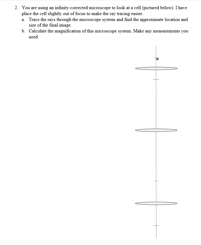 Solved You are using an infinity-corrected microscope to | Chegg.com
