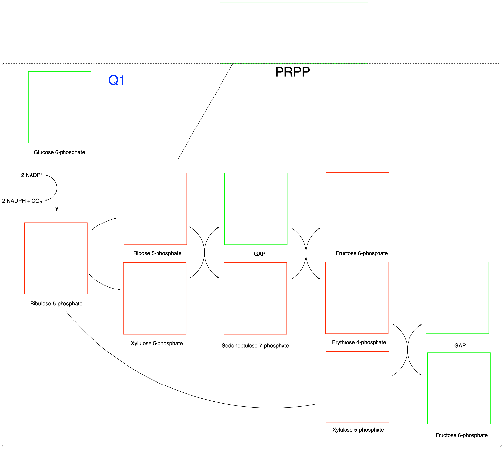 Solved 1. Fill in boxes labelled Q1 on worksheets 1 and 3 | Chegg.com Solved 1. Fill in boxes labelled Q1 on worksheets 1 and 3 | Chegg.com