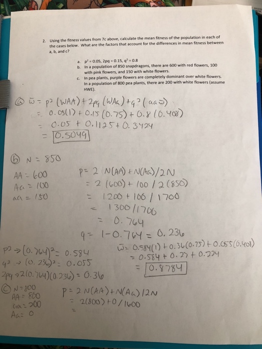 Solved Calculate the relative fitness of each genotype, and | Chegg.com