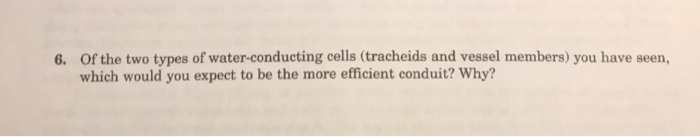 Solved Of the two types of water-conducting cells (tracheids | Chegg.com