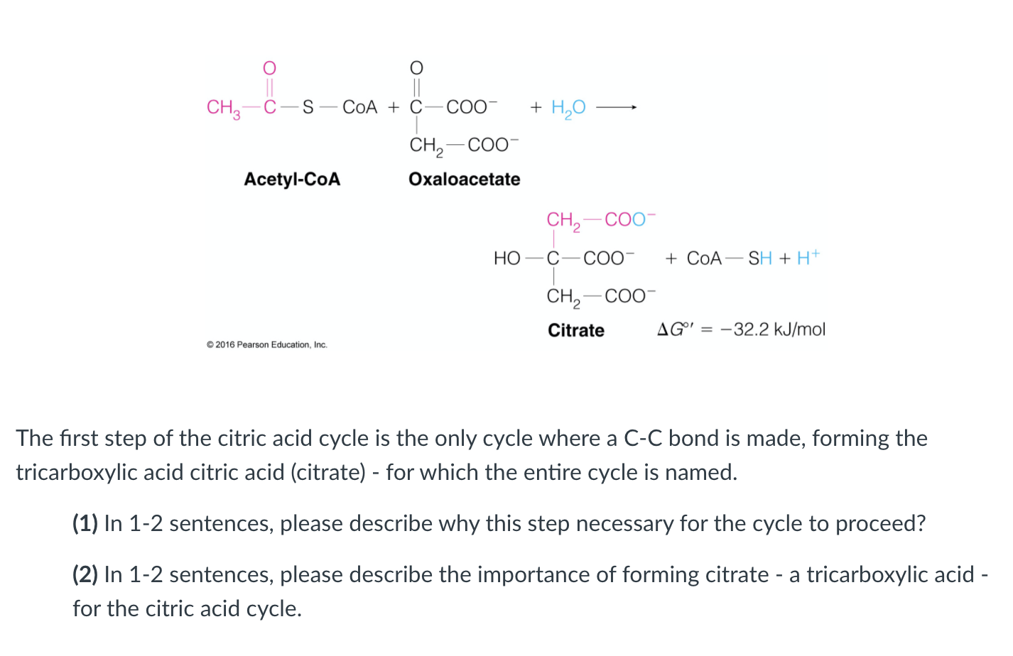 Solved CH2-C -S – COA + C COO- + H2O CH2-C00 Acetyl-CoA | Chegg.com