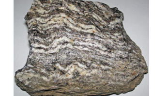 Solved Lab E– Metamorphic Rock Identification Substitute Lab | Chegg.com