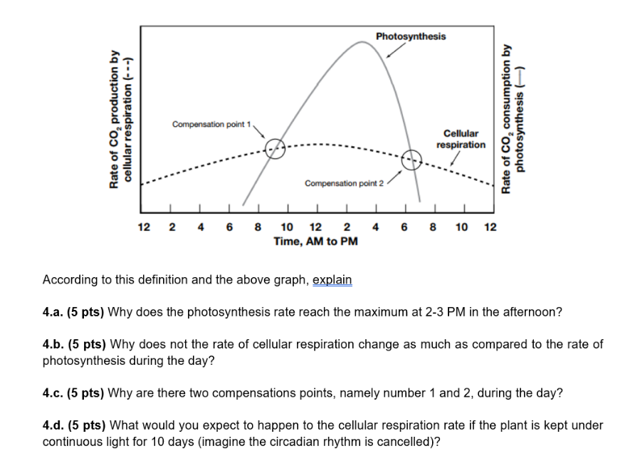 Solved Photosynthesis Rate of Co, production by cellular | Chegg.com