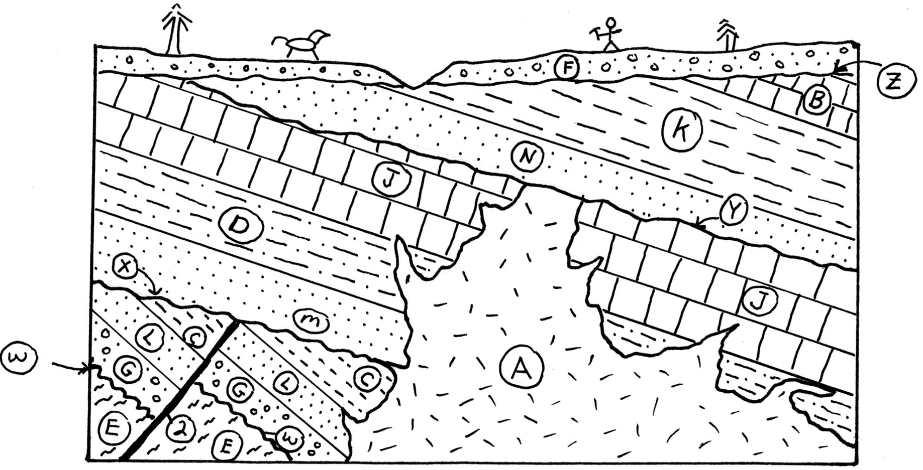 Solved Q2.1.1: Complete the sequence of geological events | Chegg.com