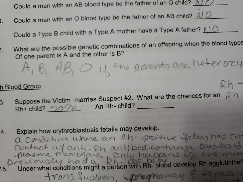 Solved H. Typing for ABO and Rh Blood Groups (demonstration) | Chegg.com