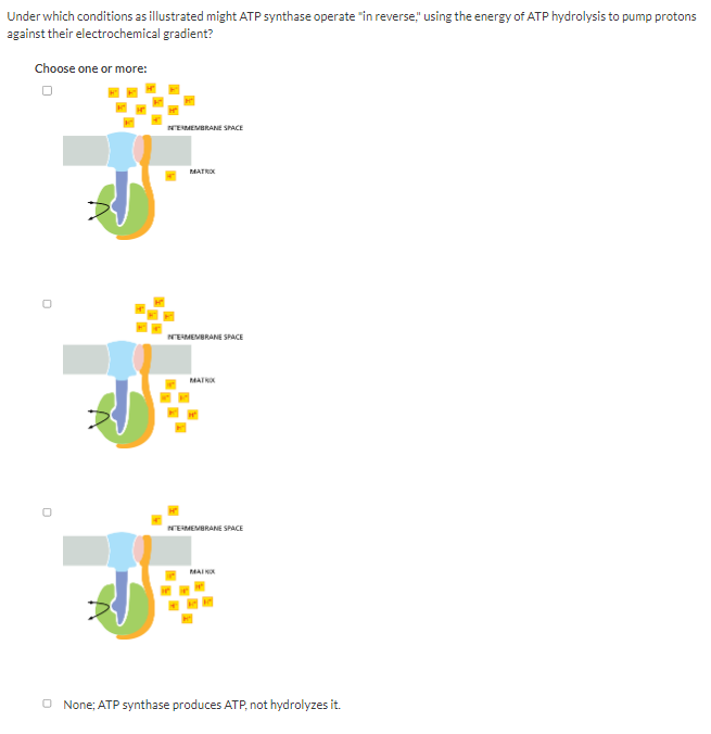 Solved Under which conditions as illustrated might ATP | Chegg.com