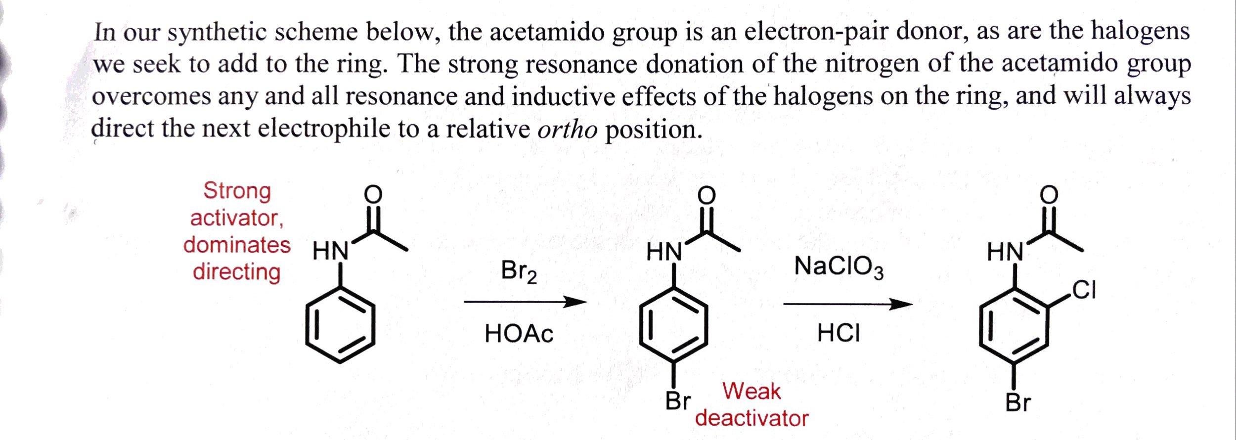 Solved Why is the acetamido group less activating than a | Chegg.com