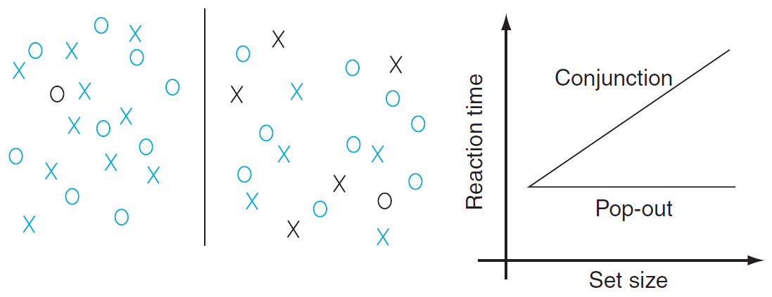Solved please write the functions and script and give step | Chegg.com