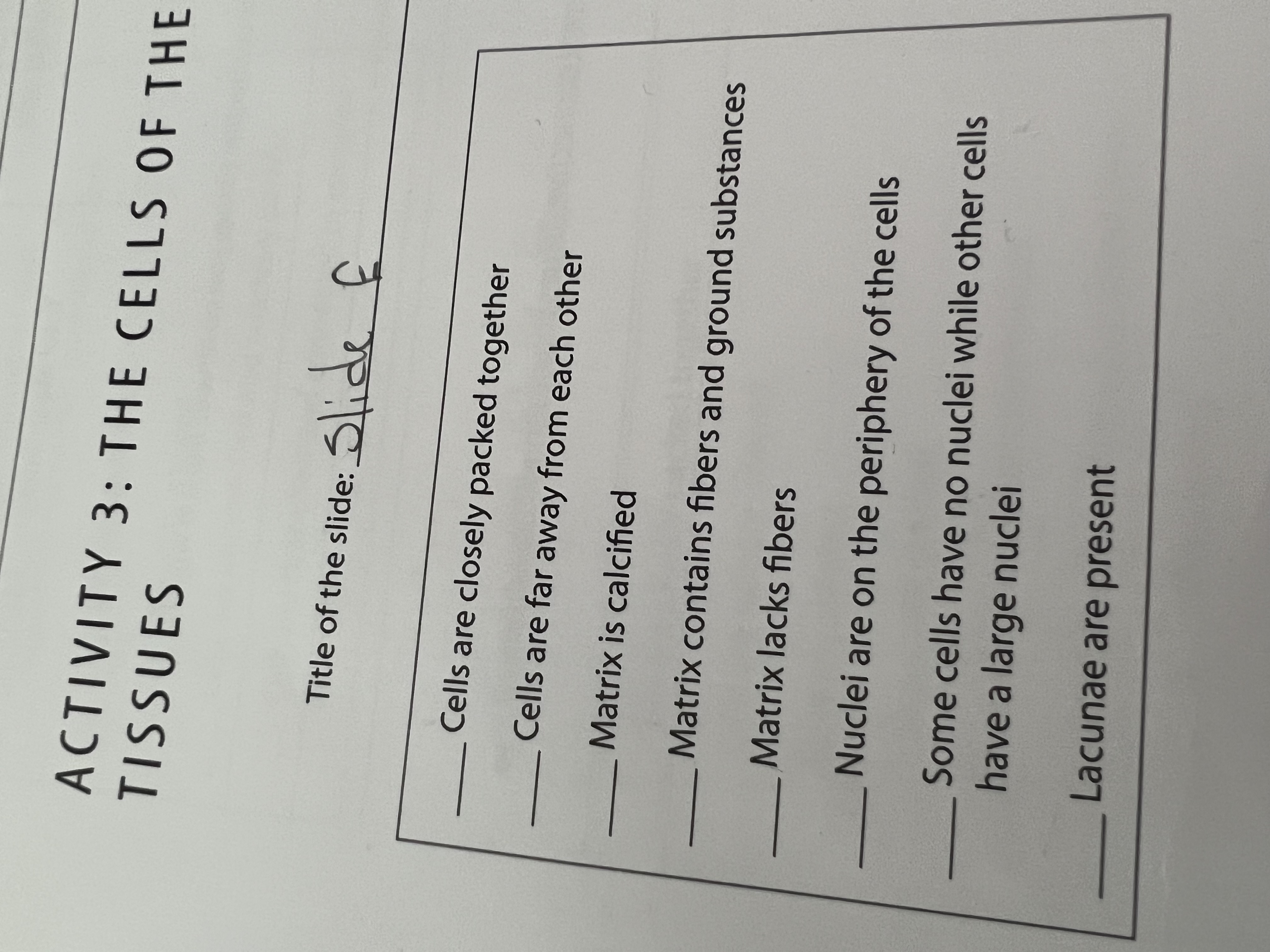 Solved ACTIVITY 3: THE CELLS OF THE CONNECTIVE TISSUES Title | Chegg.com