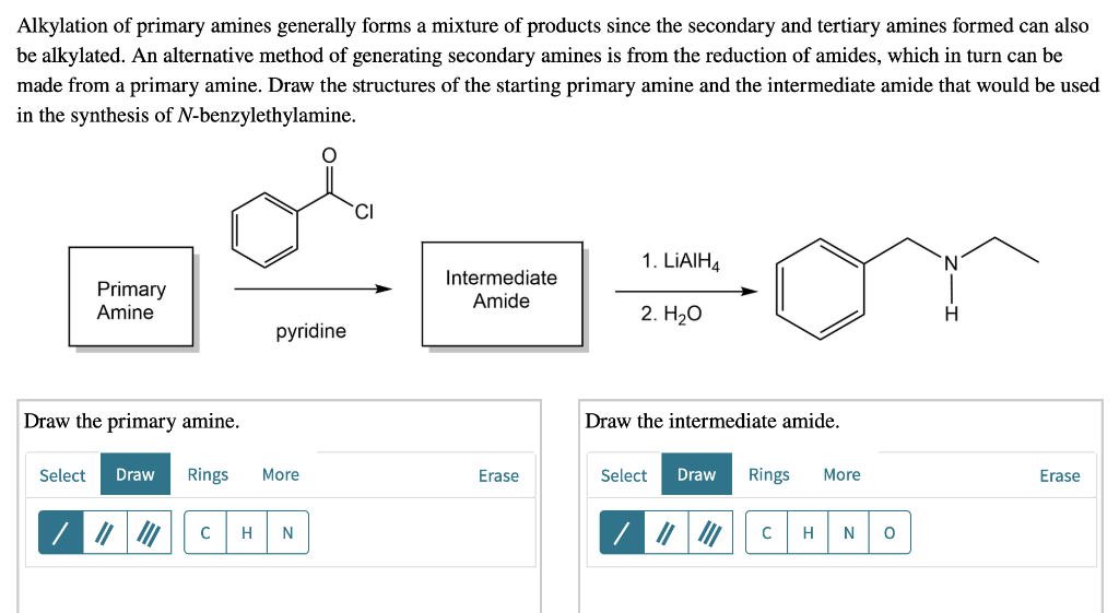 Solved Alkylation of primary amines generally forms a | Chegg.com