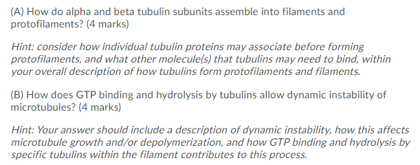 Solved (A) How do alpha and beta tubulin subunits assemble | Chegg.com