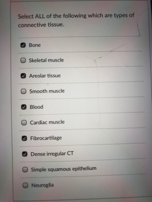 Solved Select ALL of the following which are types of | Chegg.com