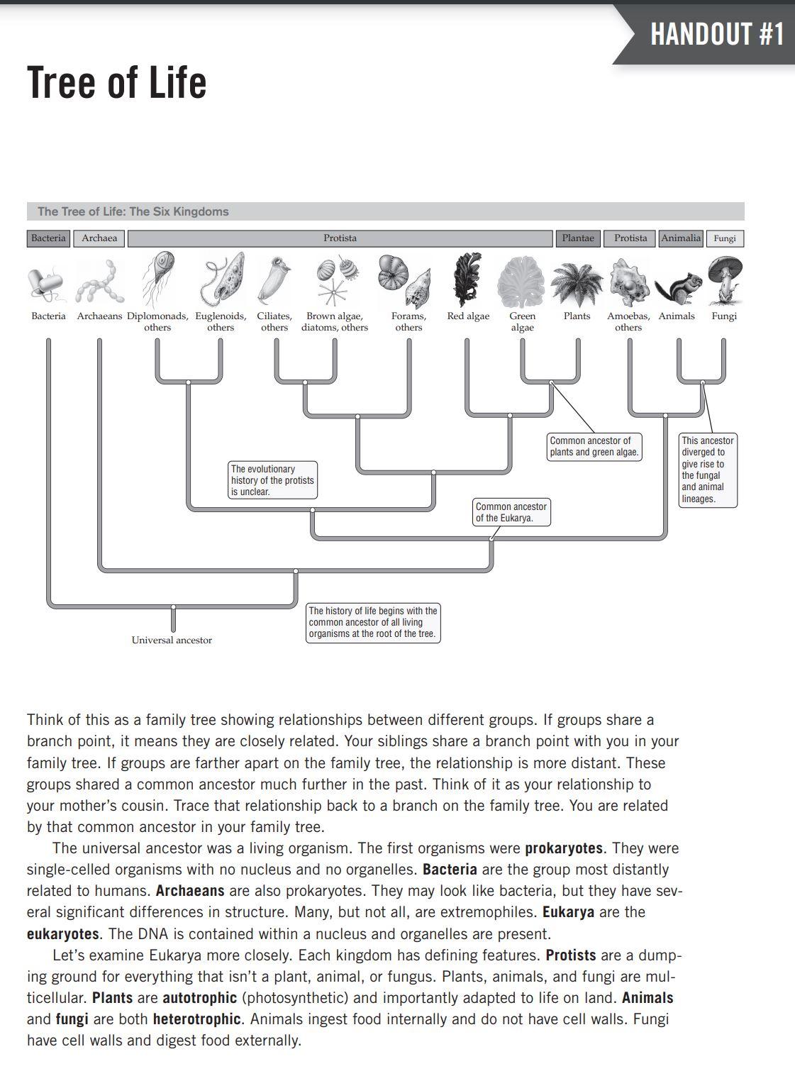 Solved HANDOUT #1 Tree of Life The Tree of Life: The Six | Chegg.com