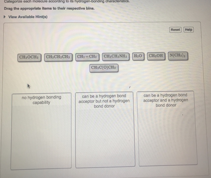 Solved Categorize each molecule according to its Drag the | Chegg.com