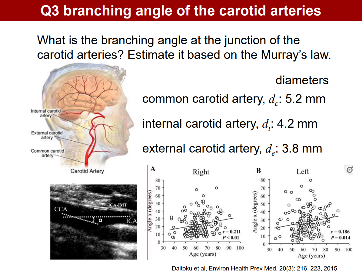 Solved Q3 ﻿branching angle of the carotid arteriesWhat is | Chegg.com