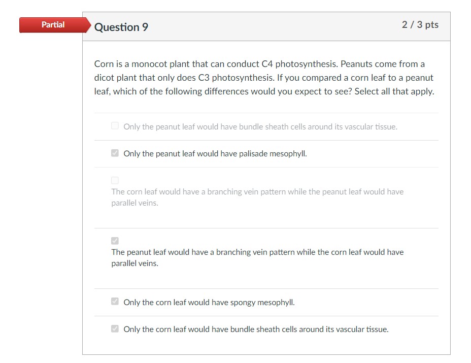 Solved Corn is a monocot plant that can conduct C4 | Chegg.com