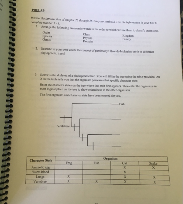 Solved PRELAB Review the introduction of chapter 26 through | Chegg.com