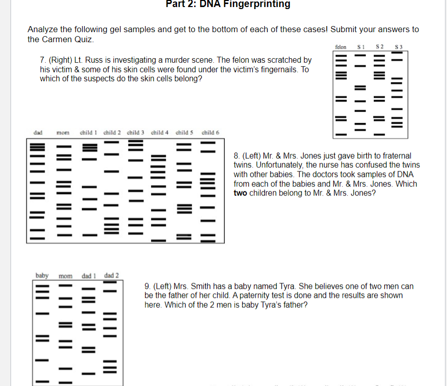 Solved Analyze the following gel samples and get to the | Chegg.com