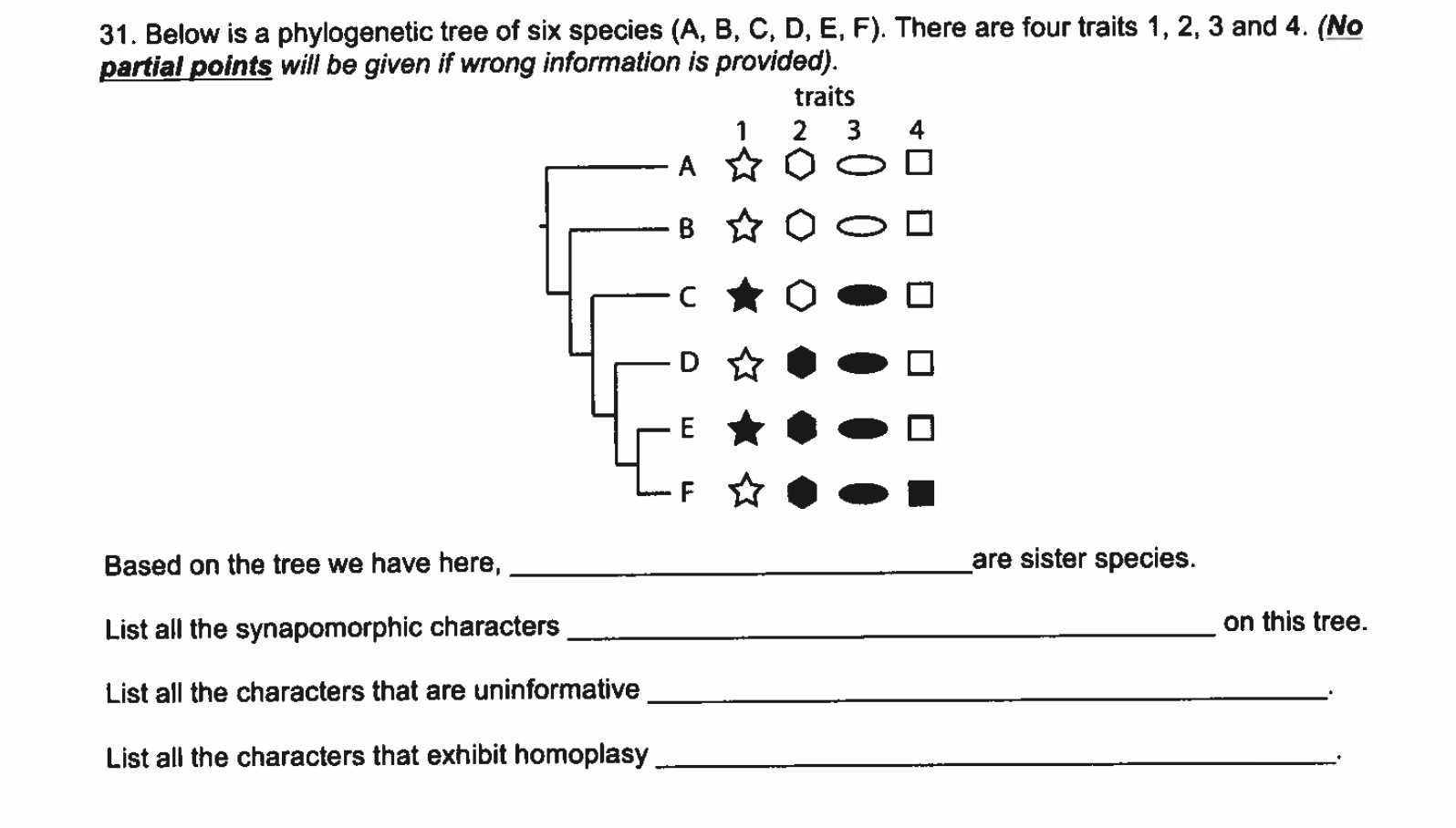 Solved 31. Below is a phylogenetic tree of six species (A, | Chegg.com