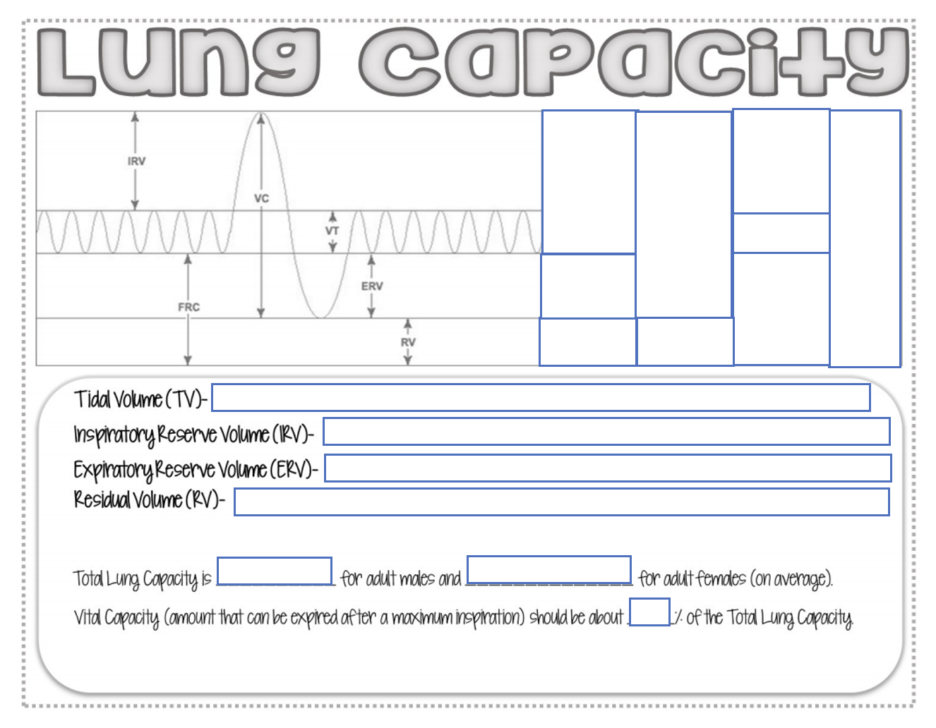 Solved Total Lung Capacity is Vital Capacity (amount that | Chegg.com