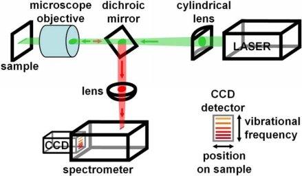 Solved how does raman spectrometer works? how it is use in | Chegg.com
