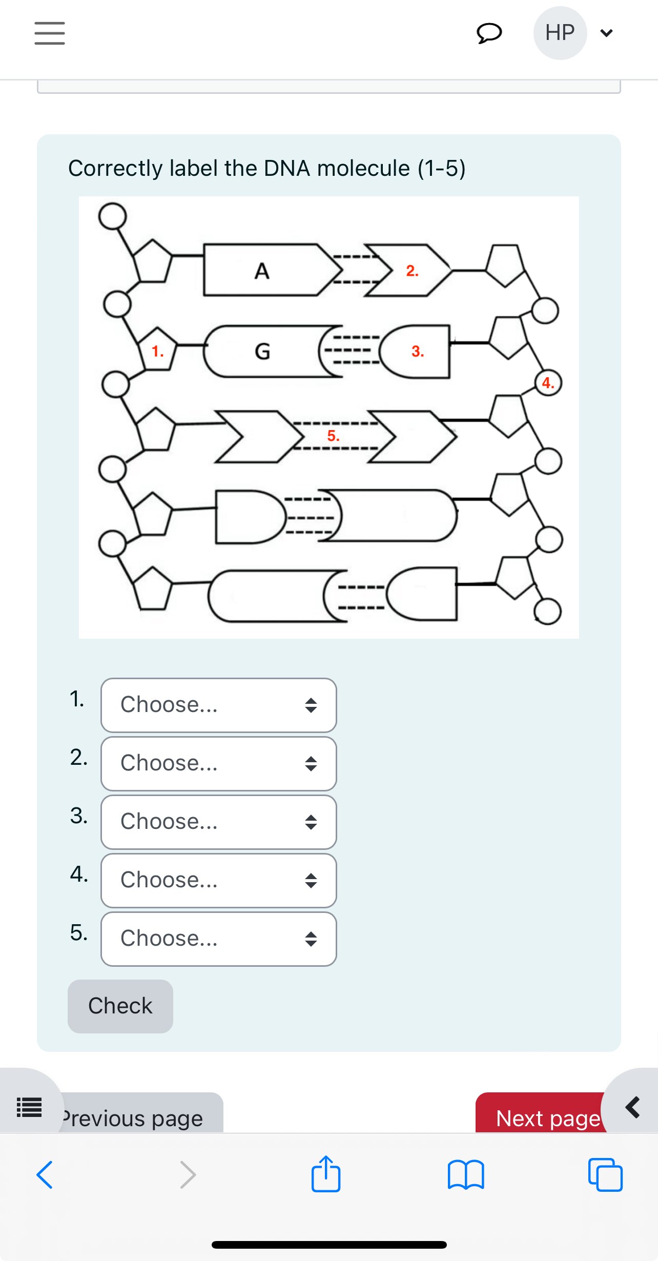 Solved Correctly label the DNA molecule | Chegg.com