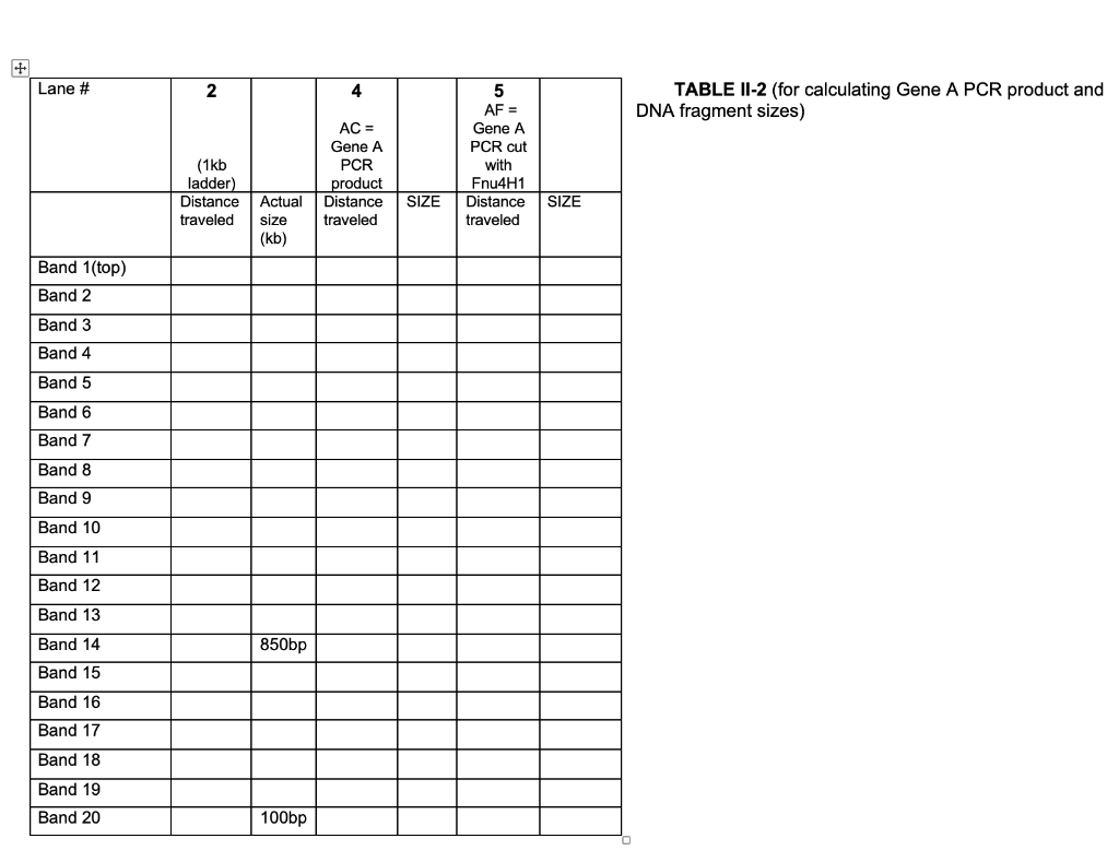TABLE II-2 (for calculating Gene A PCR product and | Chegg.com