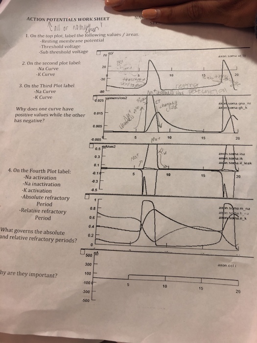 Solved ACTION POTENTIALS WORK SHEET 1. On the top plot, | Chegg.com