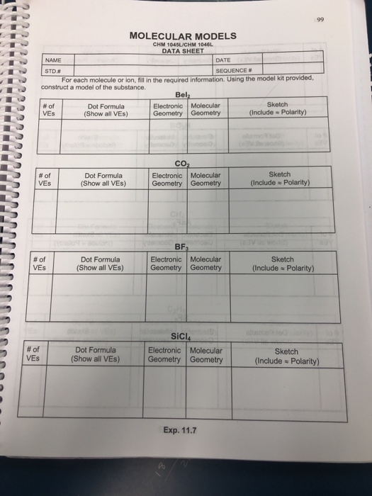 Solved MOLECULAR MODELS CHM 1045L/CHM 1046L DATA SHEET NAME | Chegg.com