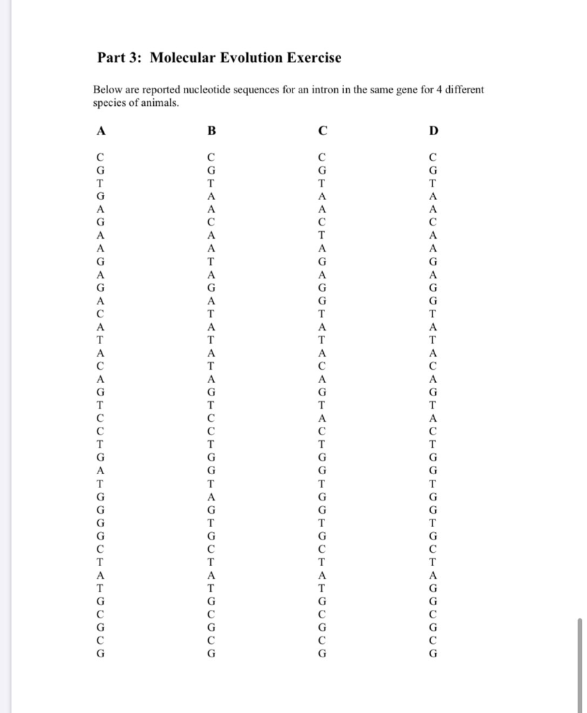 Part 3: Molecular Evolution Exercise Below are | Chegg.com