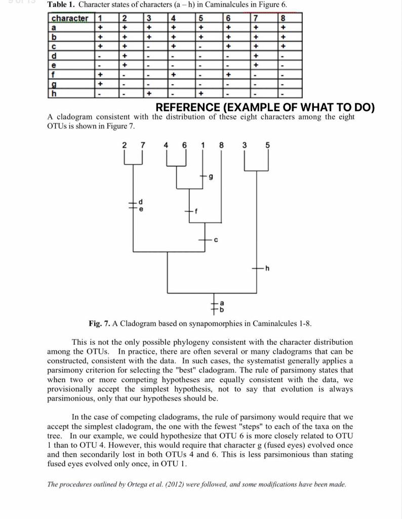 Solved Using the Caminalcules Set 2 shown in Figure 9, list | Chegg.com