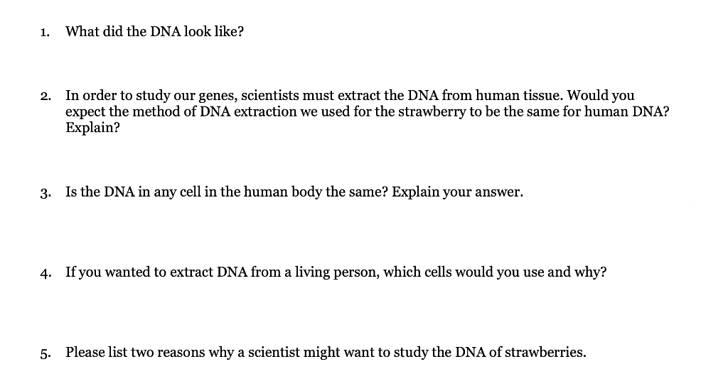 Solved Strawboriy DNa Extraction Babiground The native wild | Chegg.com