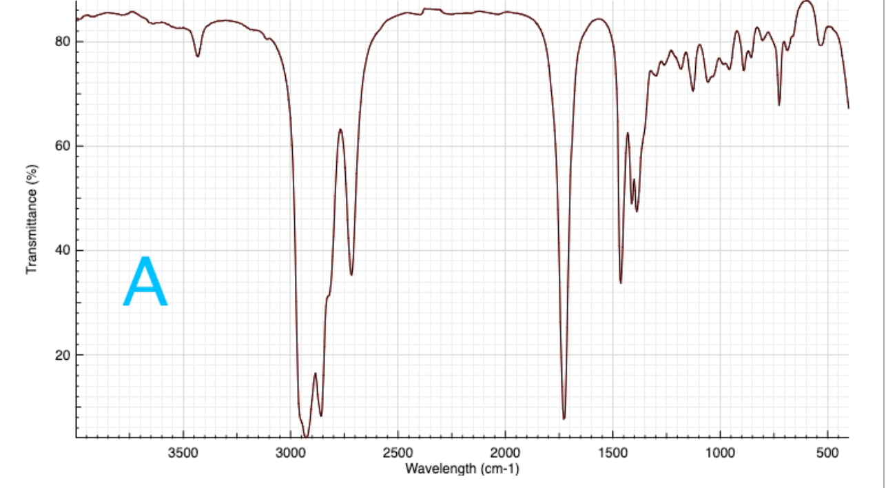 Solved C8H16O may represent several different structures. We | Chegg.com