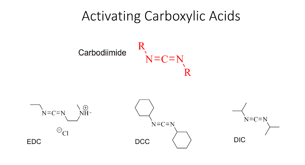 Solved The carboxybenzyl group (Cbz) can be used to protect | Chegg.com