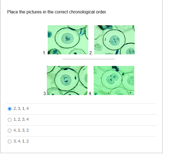 Solved Place the pictures in the correct chronological | Chegg.com