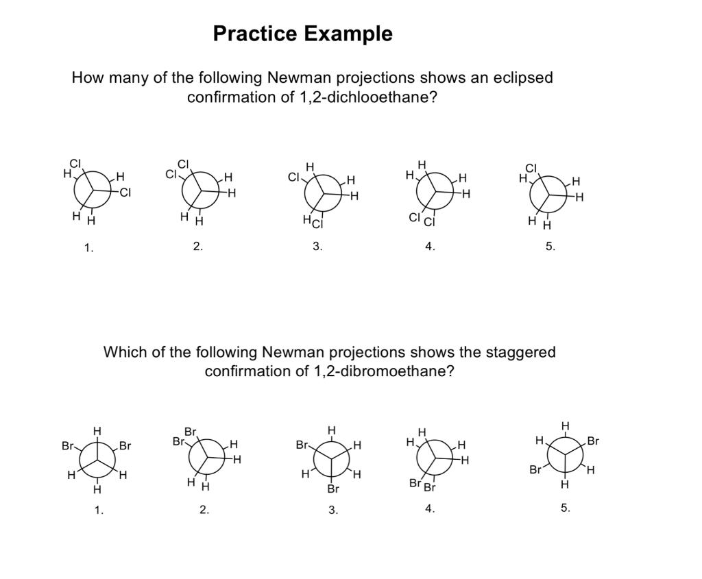 Solved Practice Example How many of the following Newman | Chegg.com