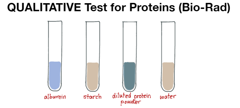 Solved IKI Test for Polysaccharides glucose maltose sucrose | Chegg.com