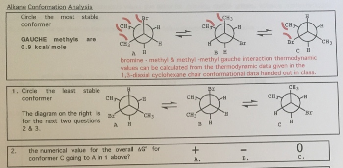 Solved Alkane Conformation Analysis Circle the most stable | Chegg.com