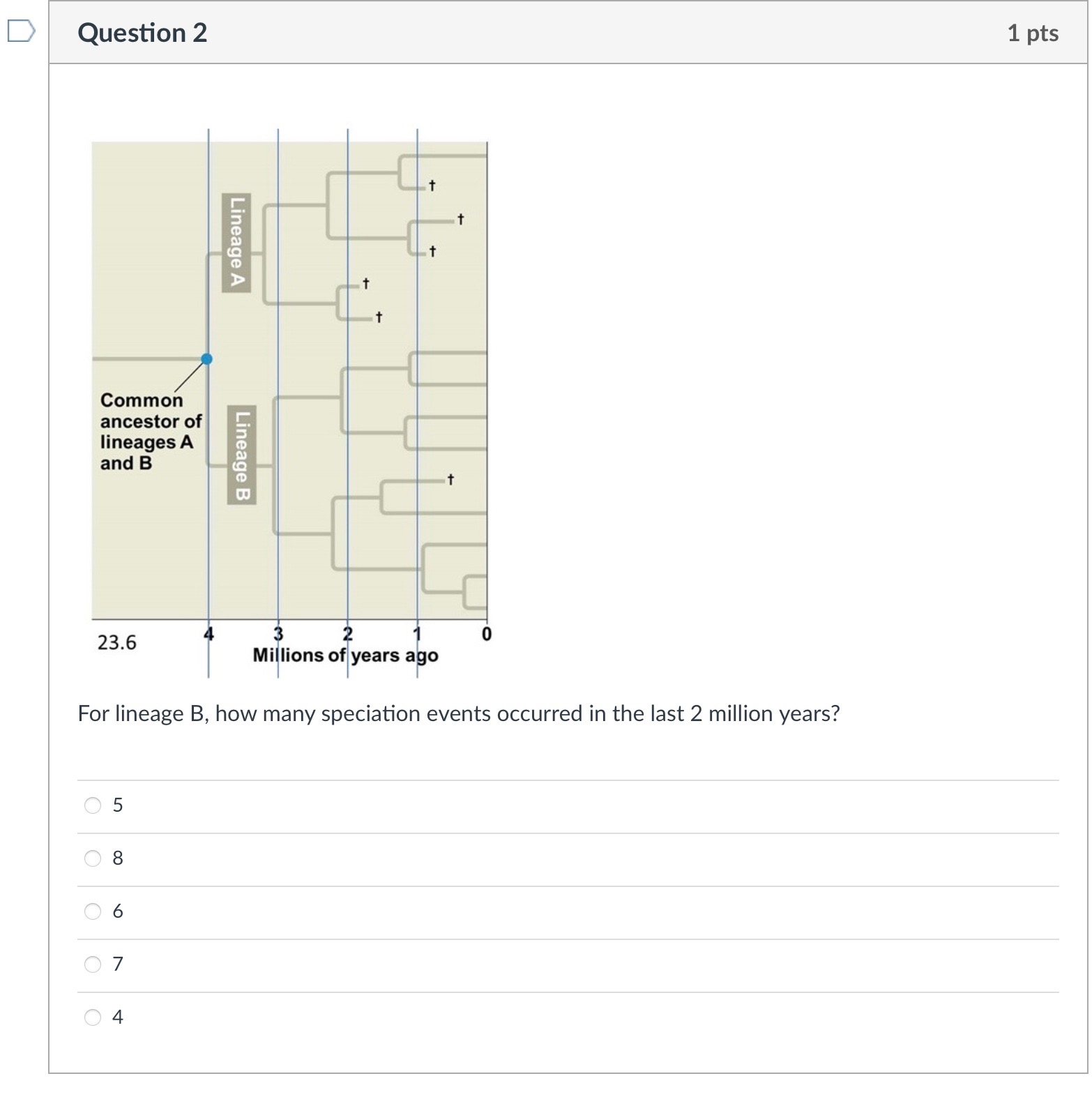 Solved For lineage B, ﻿how many speciation events occurred | Chegg.com