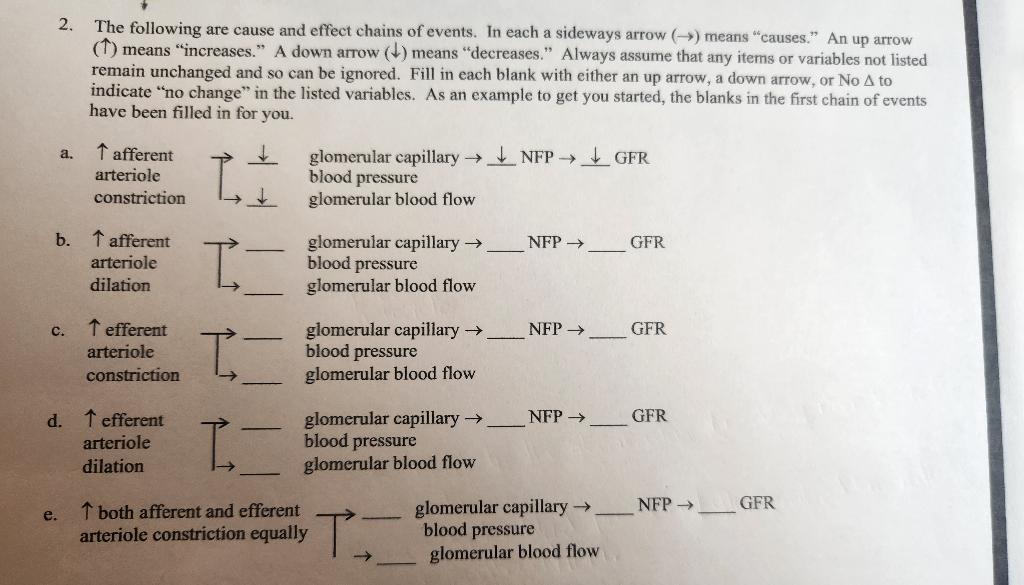 Solved 2. The following are cause and effect chains of | Chegg.com