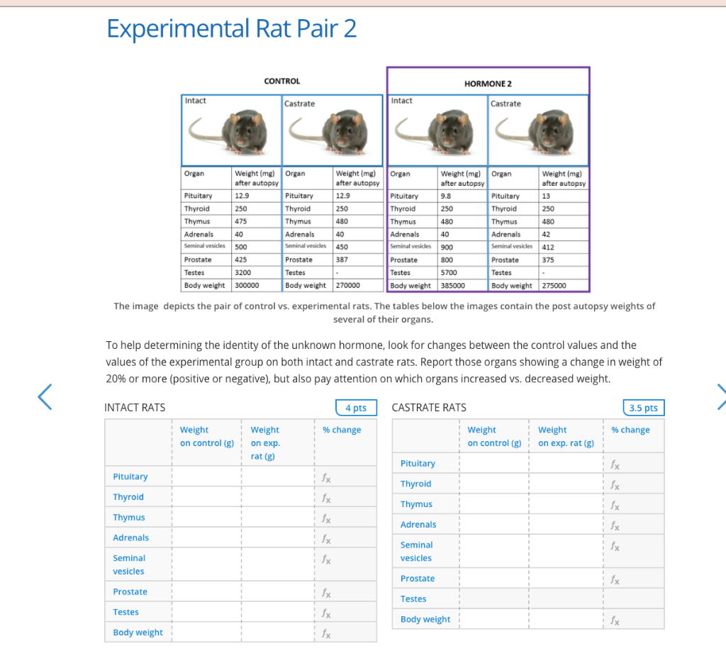 Experimental Rat Pair 2 CONTROL HORMONE 2 Intact | Chegg.com