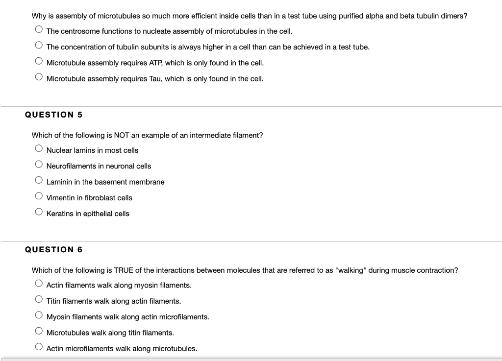 Solved Why is assembly of microtubules so much more | Chegg.com