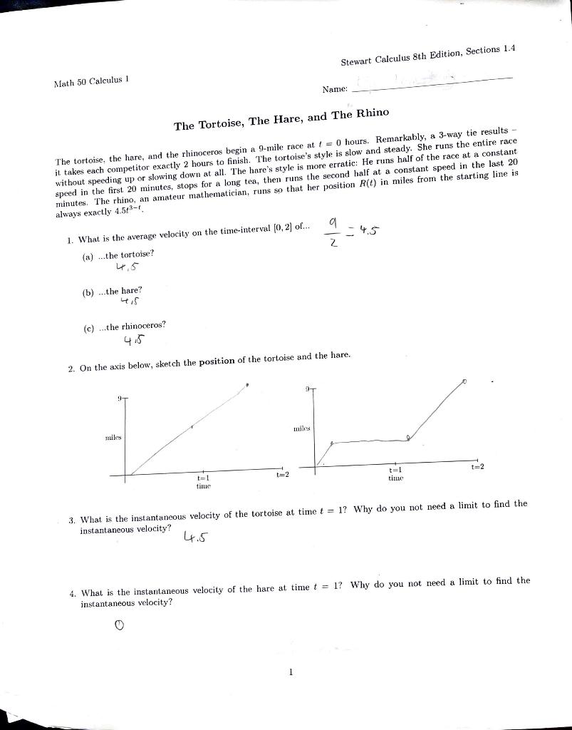 Solved The tortoise, the hare, and the rhinoceros begin a | Chegg.com