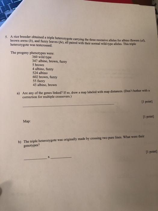 Solved 5. A rice breeder obtained a triple heterozygote | Chegg.com