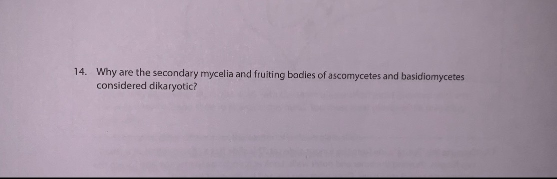 Solved 14. Why are the secondary mycelia and fruiting bodies | Chegg.com