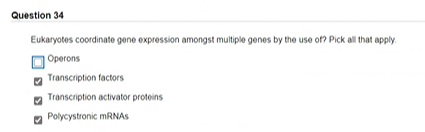 Solved Question 34 Eukaryotes coordinate gene expression | Chegg.com