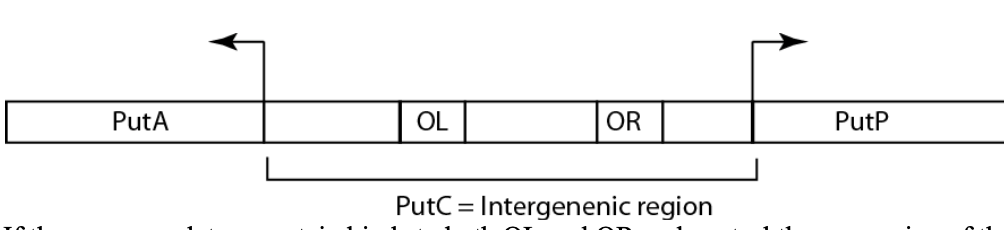 Solved 2) The following experiments are meant to understand | Chegg.com