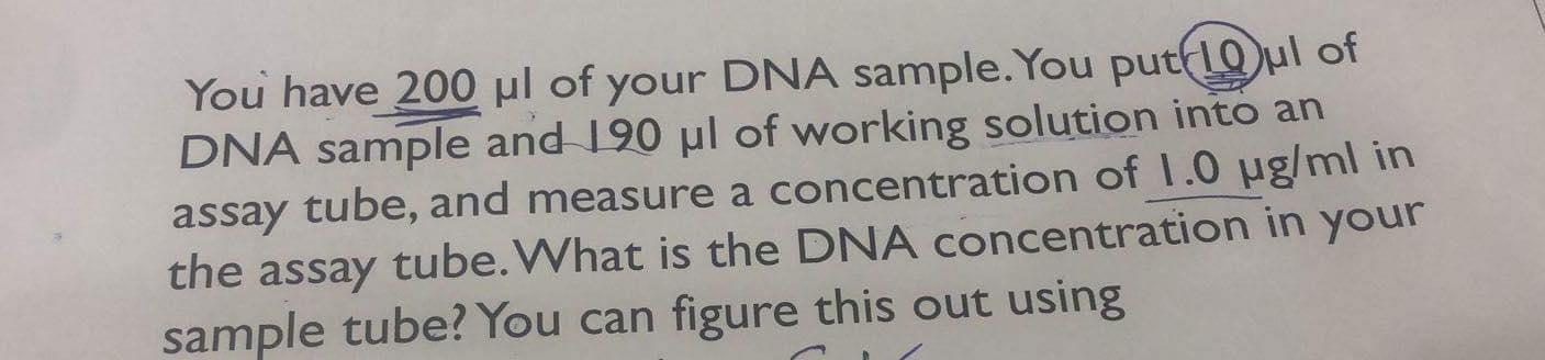 Solved You have 200μl of your DNA sample. You put 10 ul of | Chegg.com