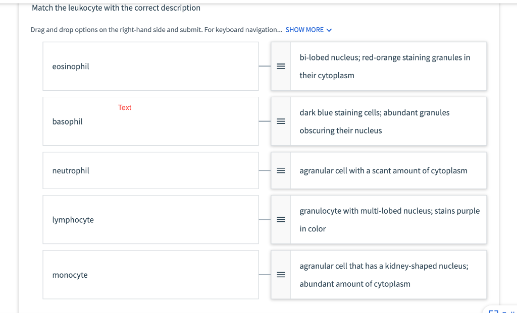 Solved Match the leukocyte with the correct description Drag | Chegg.com