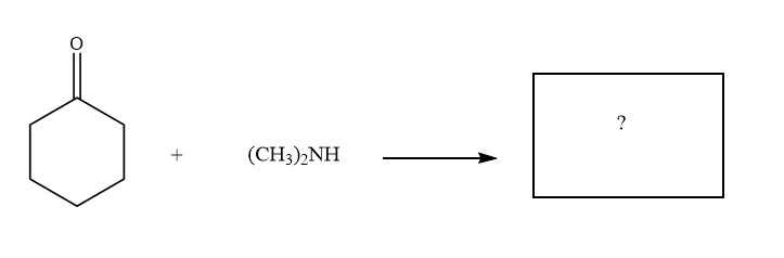 Solved ? + (CH3)2NH | Chegg.com